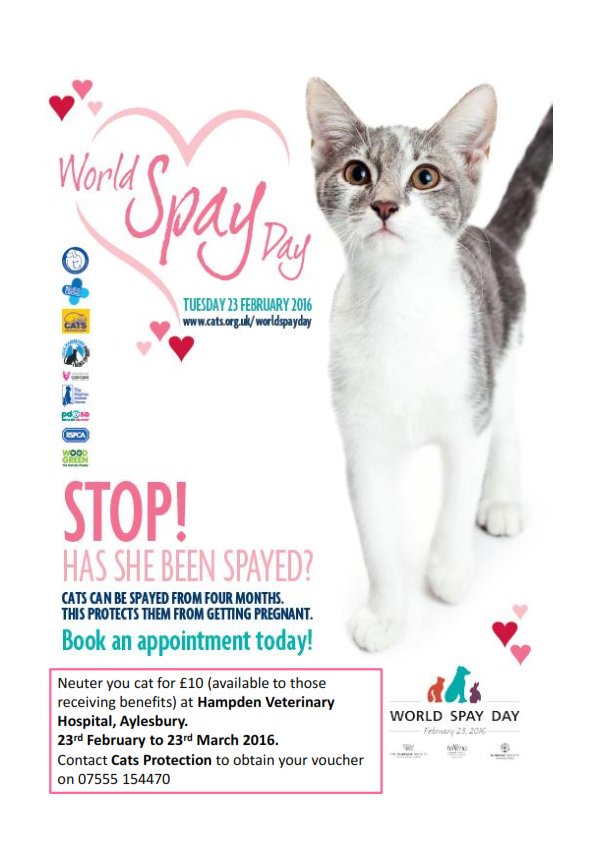 Past event – World Spay Day, Aylesbury | What's On Where