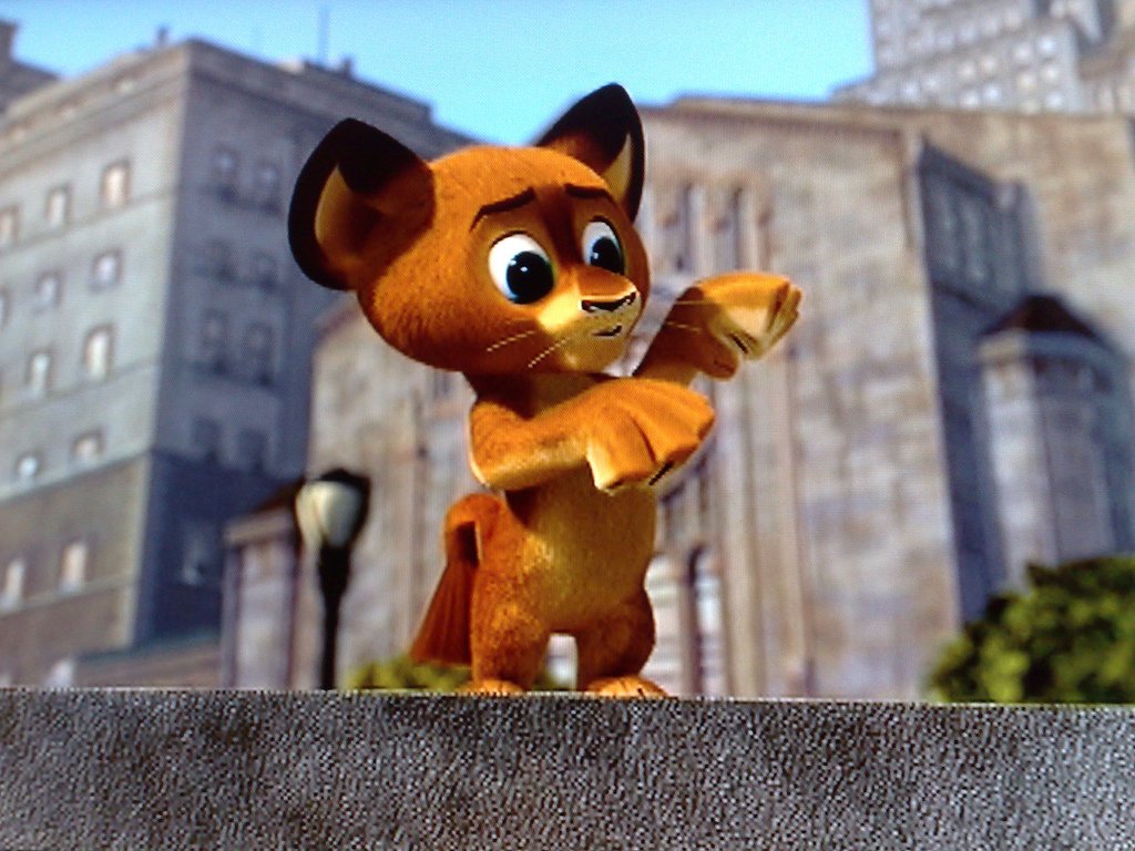 Madagascar Alex Baby