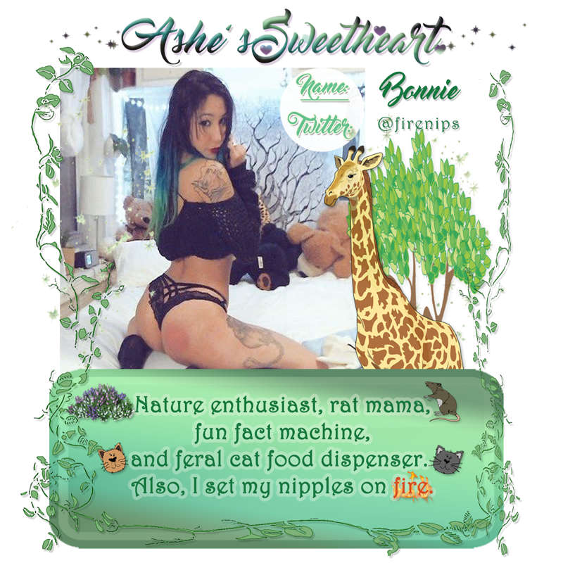 Ashe Maree on Twitter: "Classy, curvy, & cutie, @fenellafox will pop champagne all over your ...