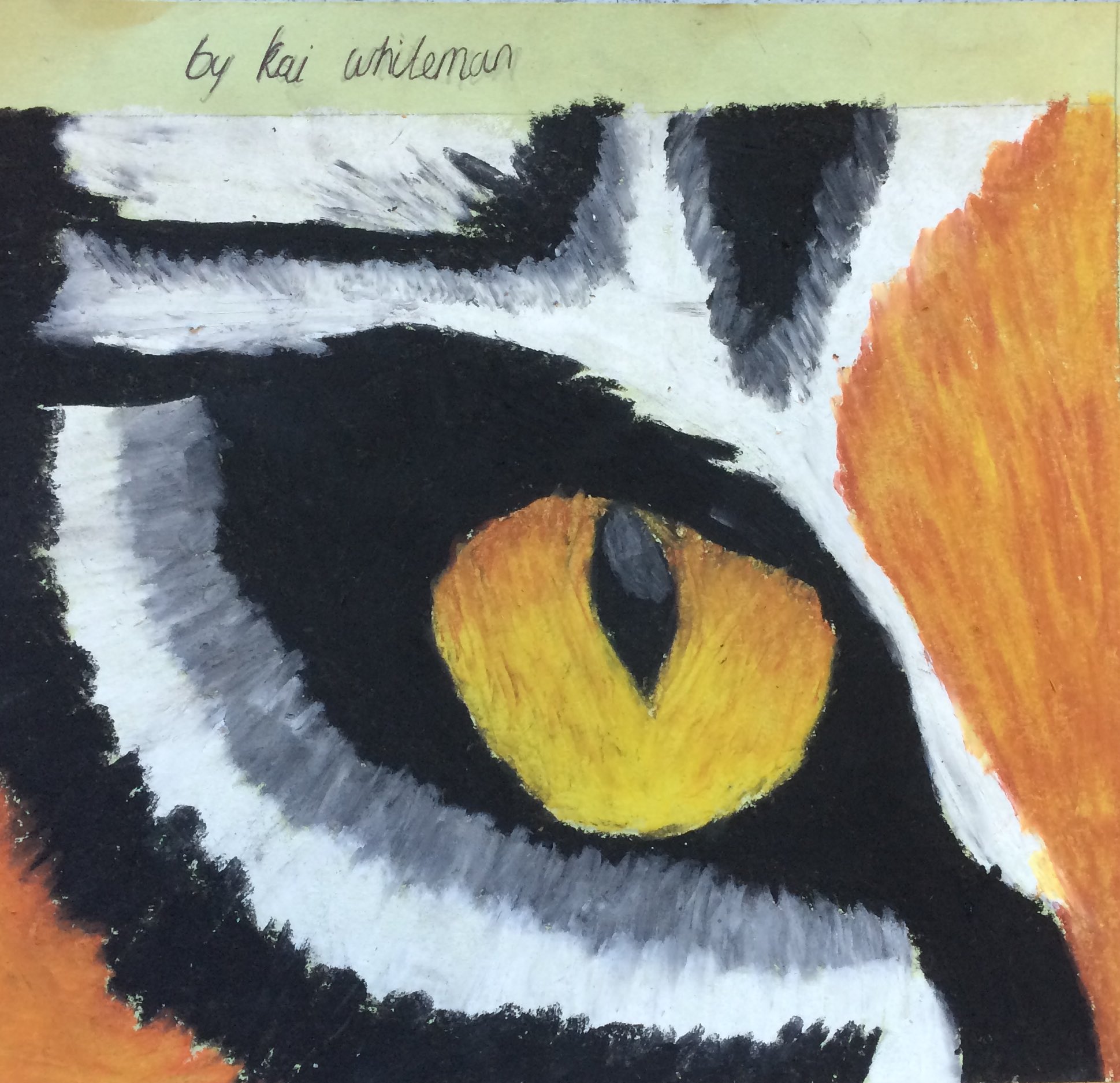Oil Pastel Drawings Of Eye