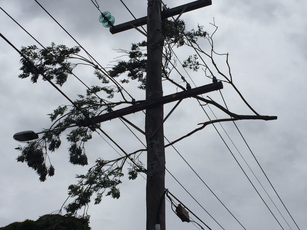 .BOM_Vic forecaster believes a tornado hit Reservoir last night as wild ...