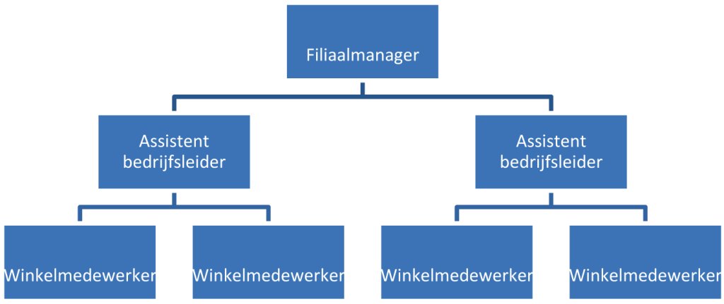 Organogram Maken