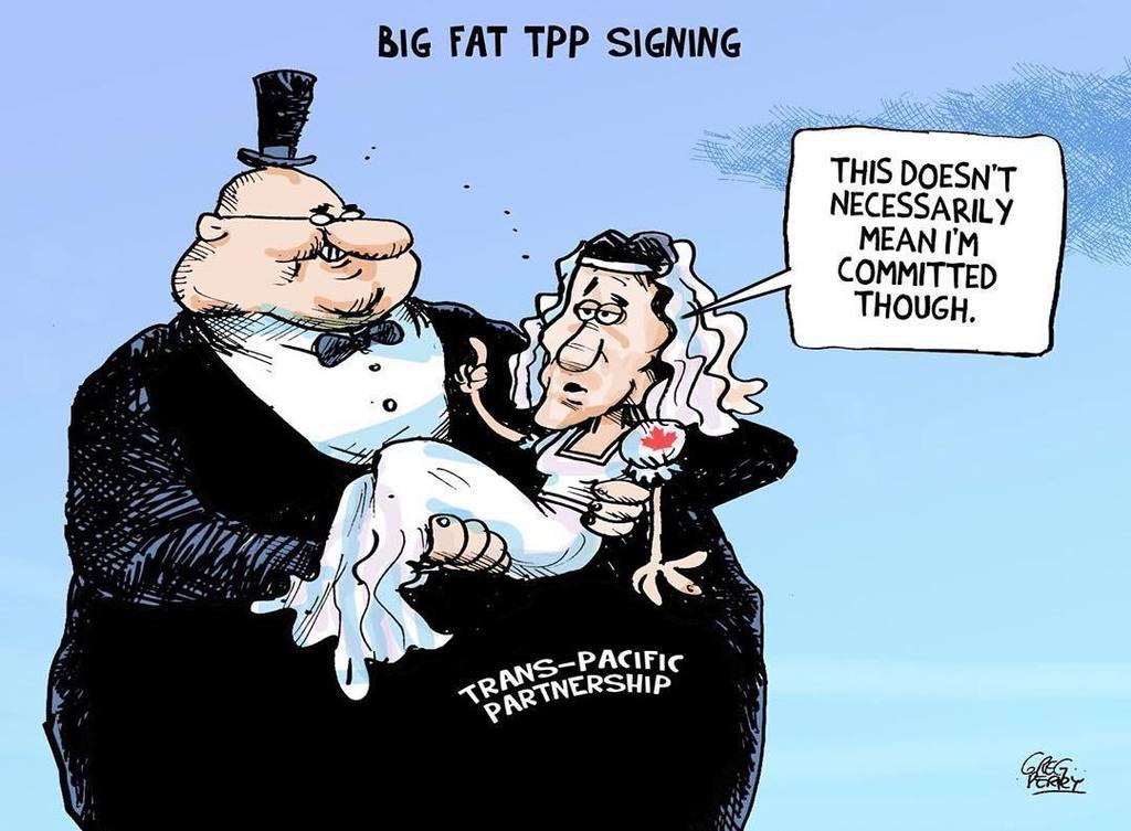 "Trudeau and the TPP" is Monday's editorial cartoon by Greg Perry ...