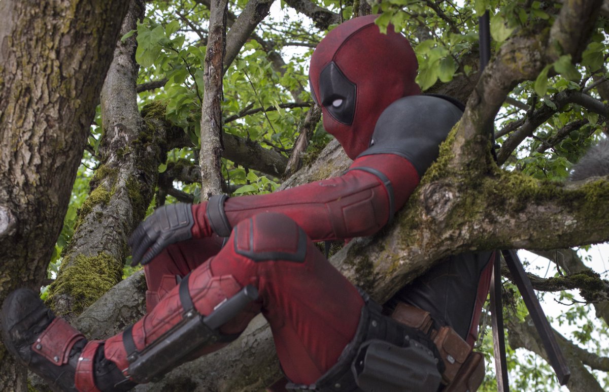 est100 一些攝影(some photos): Cat, 'Deadpool', 貓, '死侍'