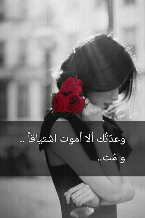 Sayed Abdo on Twitter: "https://t.co/W0lwDZrqJp"