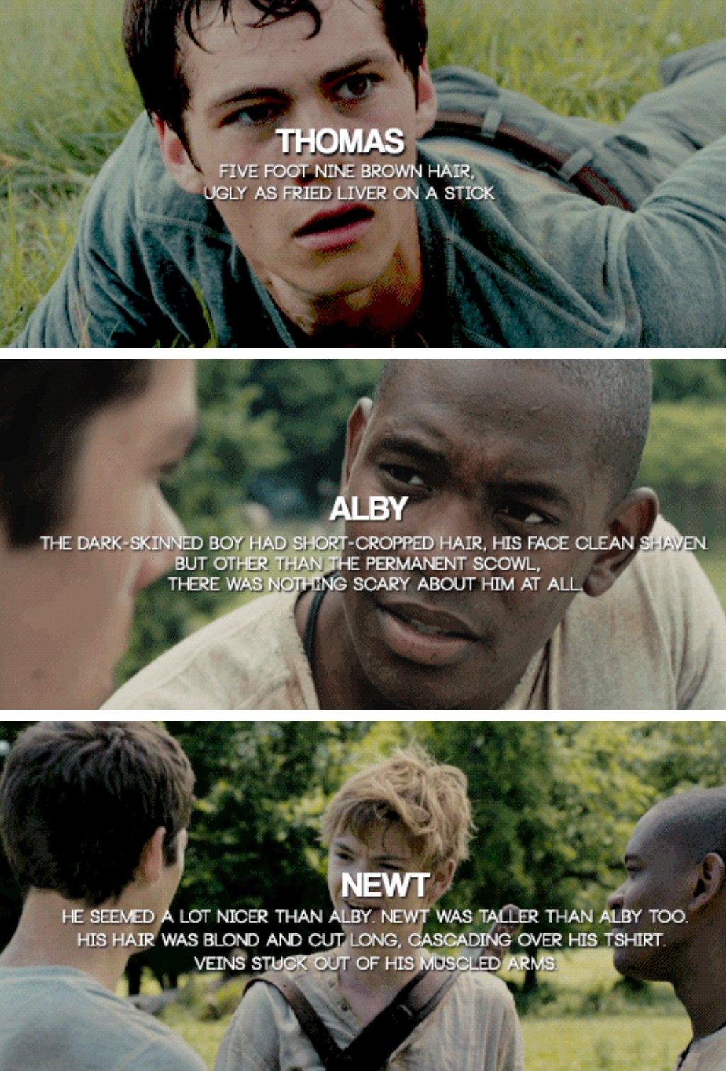 The Maze Runner Characters In The Movie