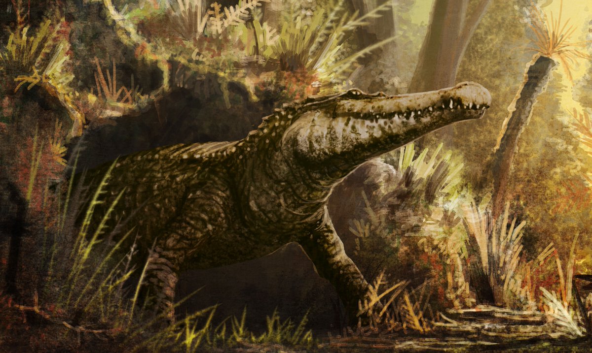 Goniopholis willetii. Art by Mark Witton | Animais pré-históricos ...