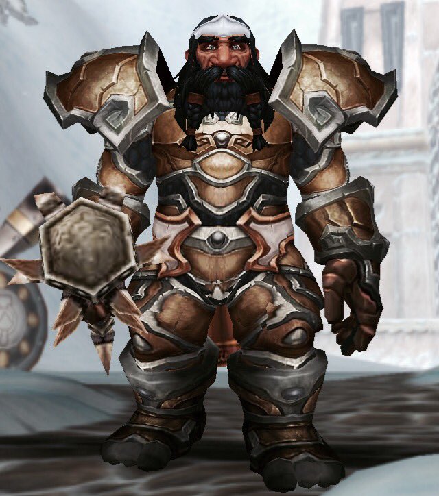Dwarf Paladin Transmog