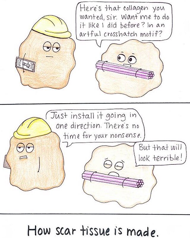 Histology Humor
