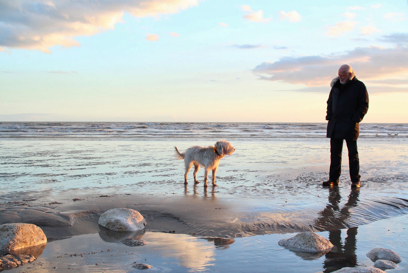 What Is Zoellas Dogs Name