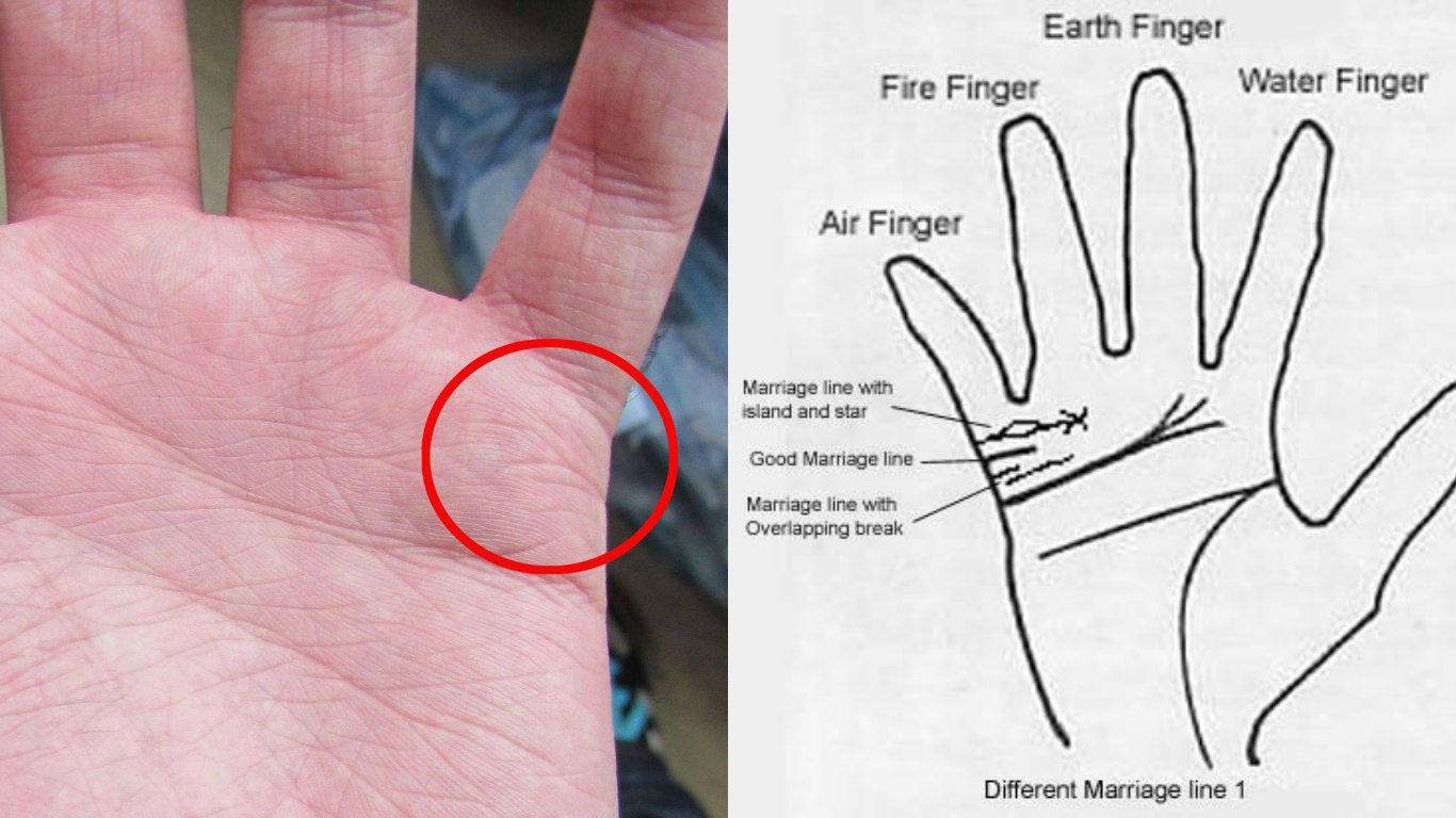 Palm Reading Marriage Line Guide