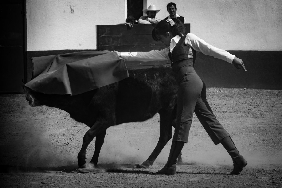 Criadores de Toros de Lidia – Página 40 – La crianza de toros bravos es ...