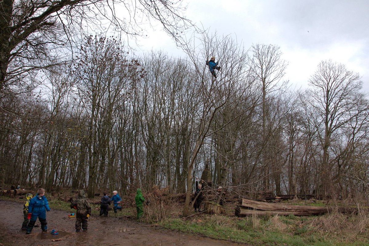 Would you let your child do this? Denmark forest kindergarten ...