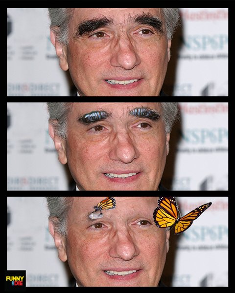 Martin Scorsese Eyebrows