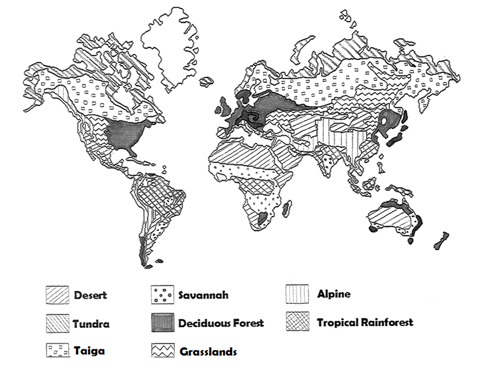Map Biome Coloring Biomes Worksheet Worksheetplace Worksheets Blank ...