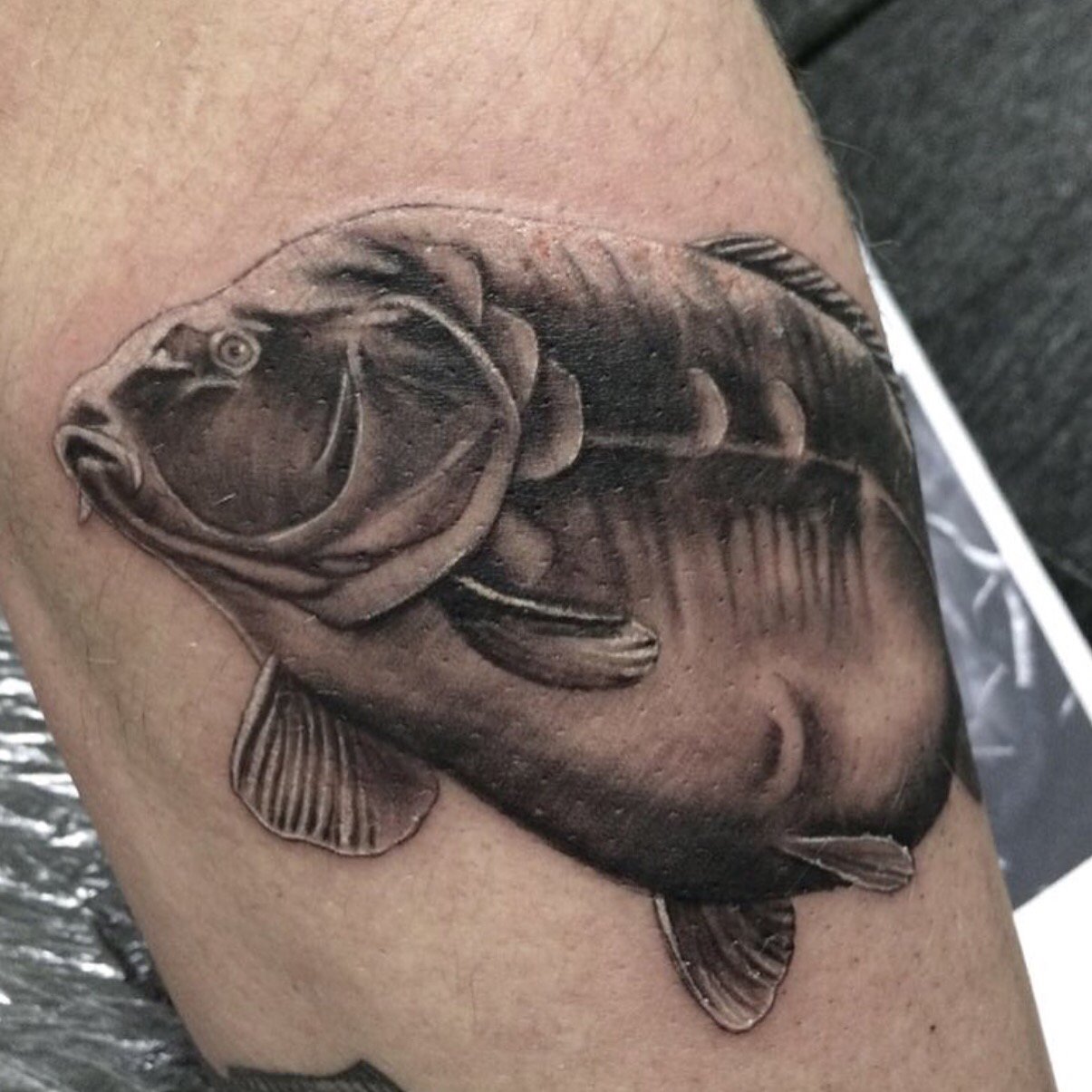Common Carp Tattoos Tattoo Of Koi, Fish, Animals