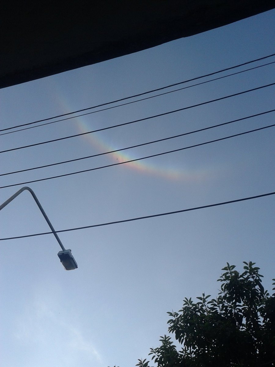 Alan Quezada (@AlanQuezada11) | Twitter