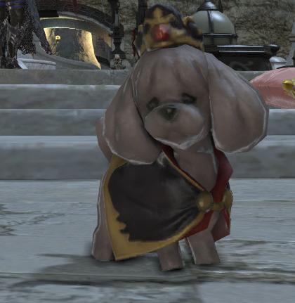 Just a casual pic' of me and my pet dog. : r/FinalFantasy