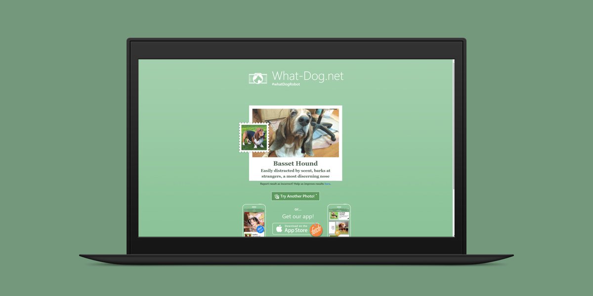 Tom Hunter (@tomhunter) | Twitter