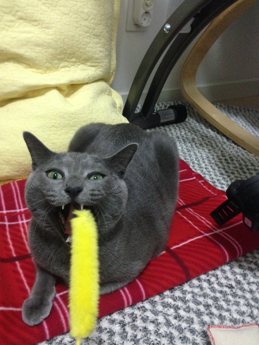 Chunbae (@IamChunBae) | Twitter