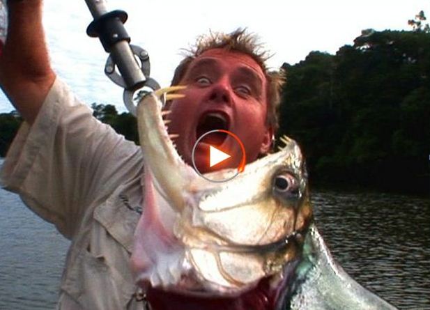 Vampire Fish River Monsters