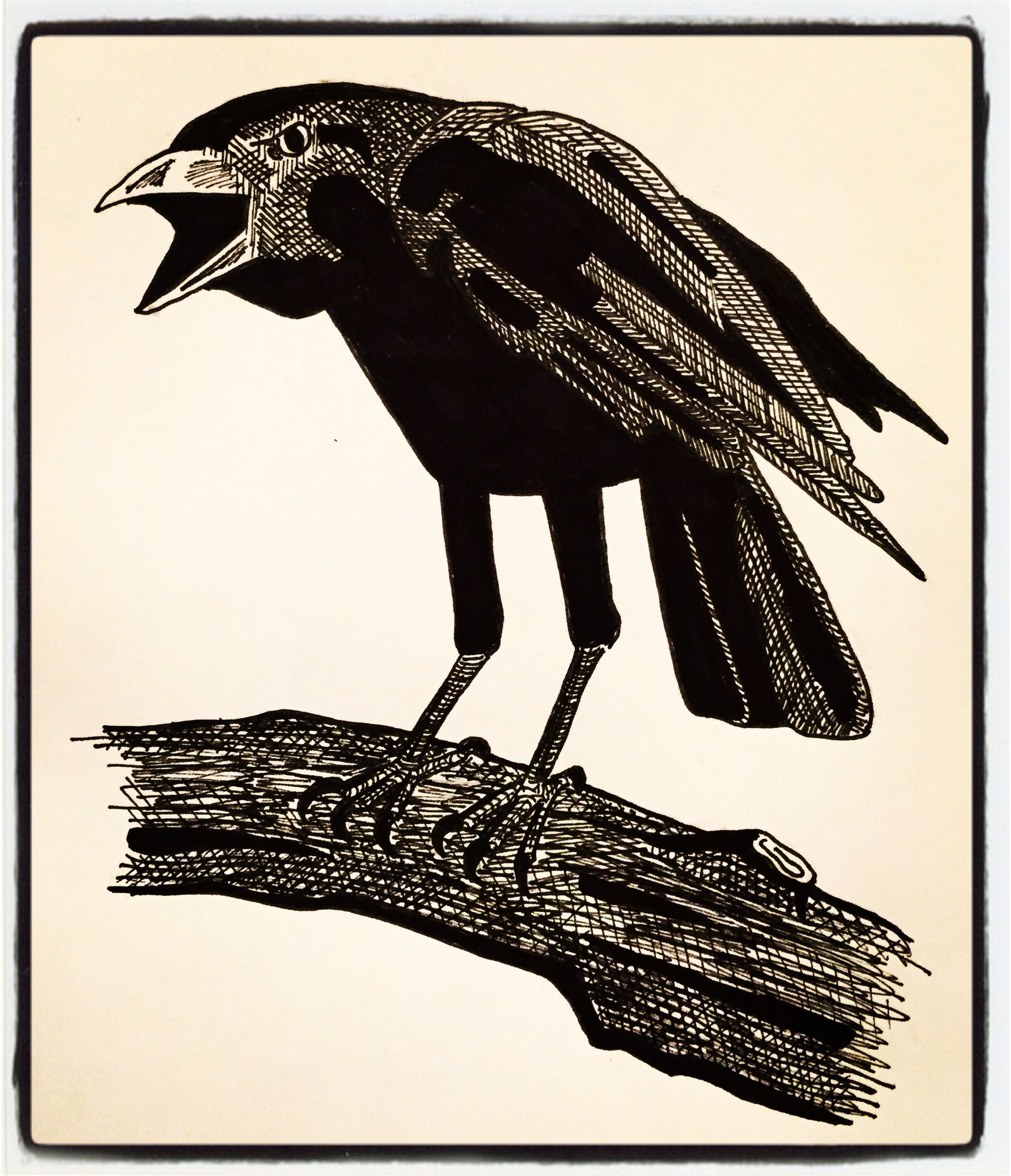 Evil Crow Drawing