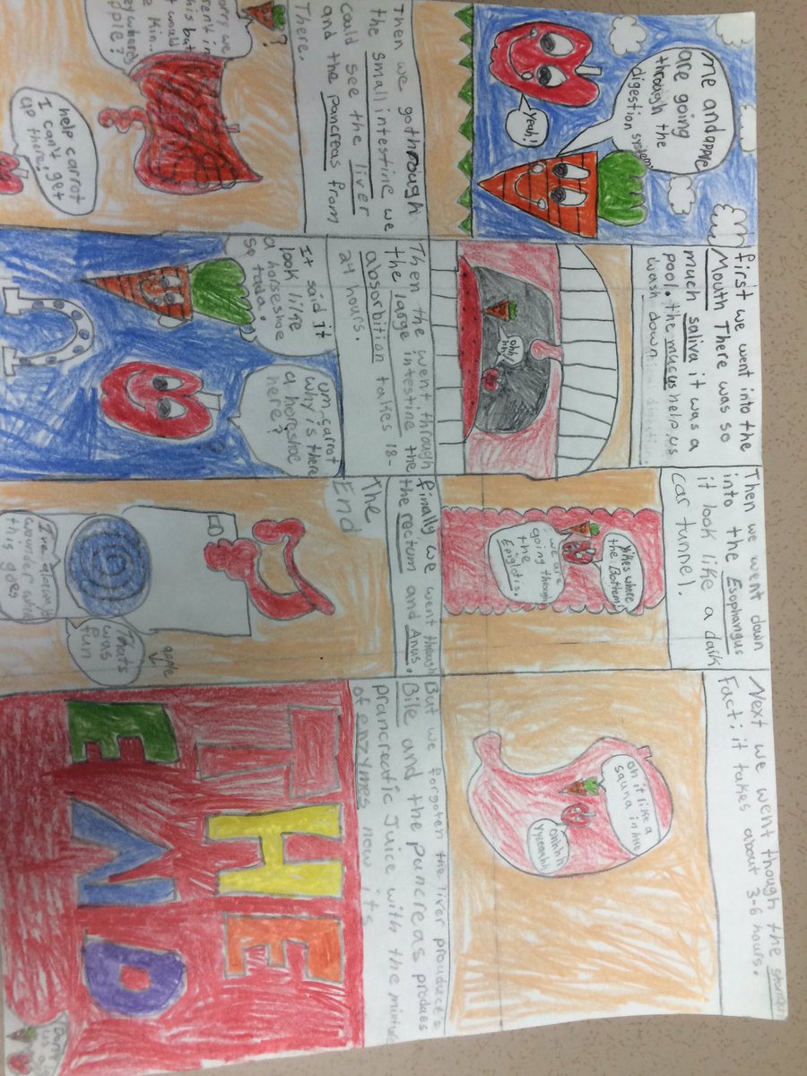Digestive System Comic Strip