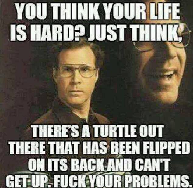 Hard Life Memes