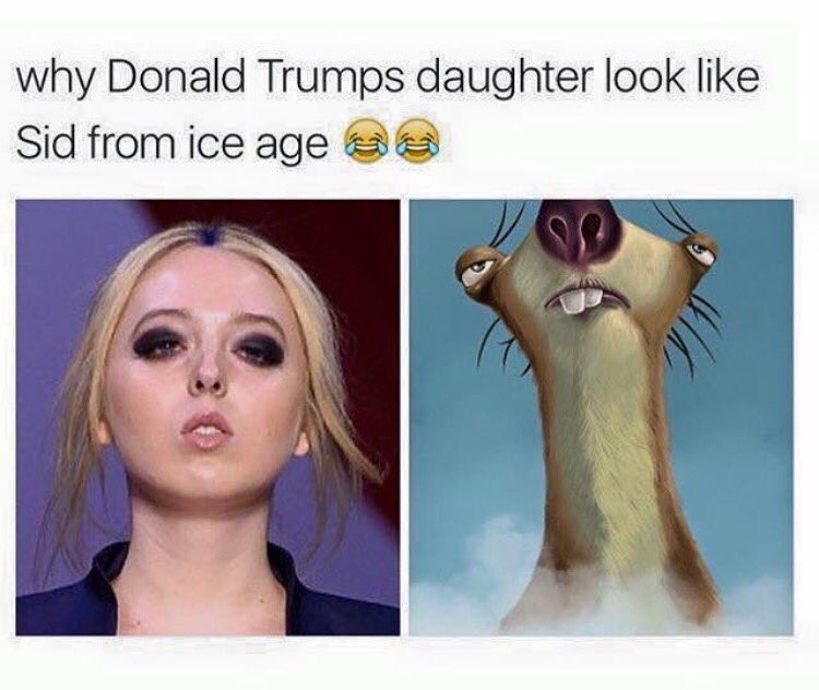 Kevin Bova's Instagram, Twitter & Facebook on IDCrawl