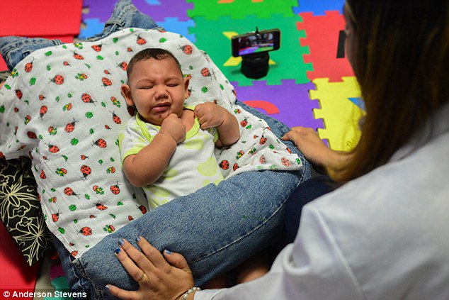 Zika babies with small heads will be DUMPED in orphanages, Brazil warns ...