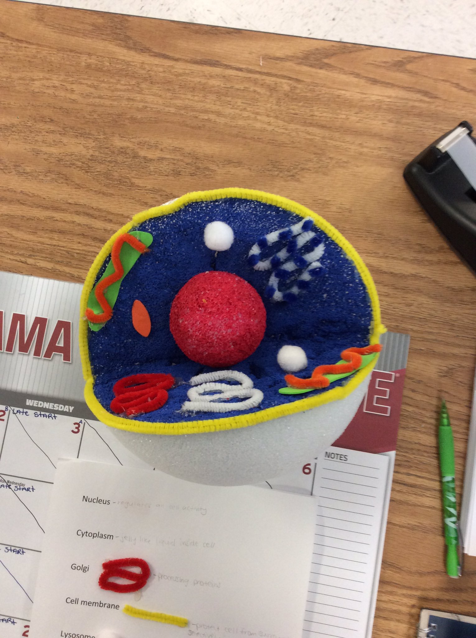 Organelle Project Plant Organelle Isolation Lifeasible