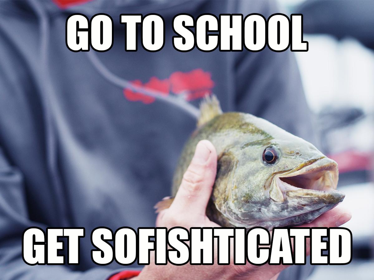 Cod Fish Meme