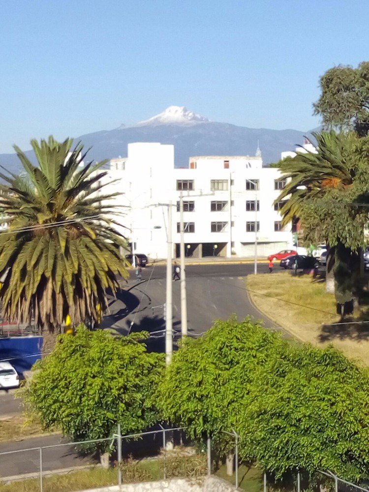 Mantis Elt (@mantis_elt) | Twitter