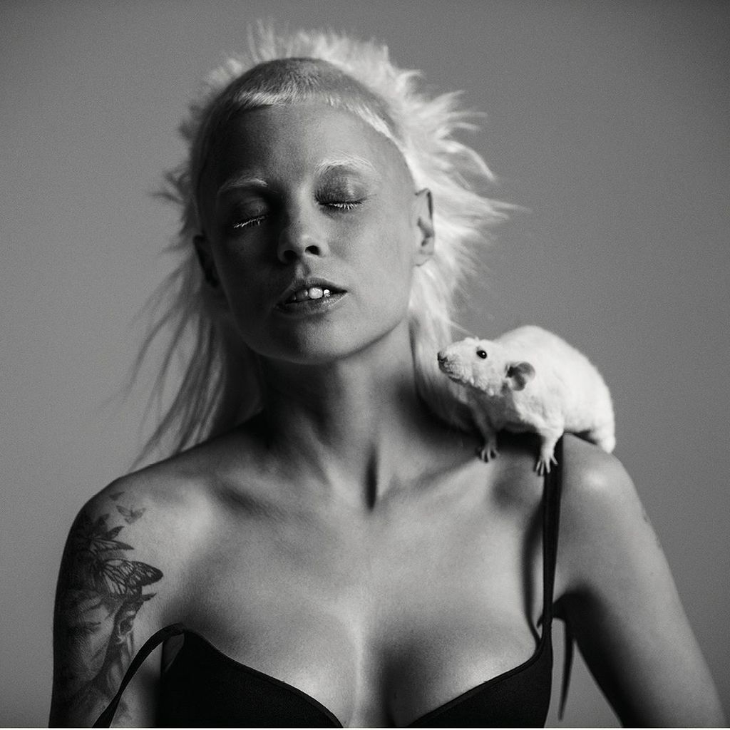 Yolandi Wallpaper