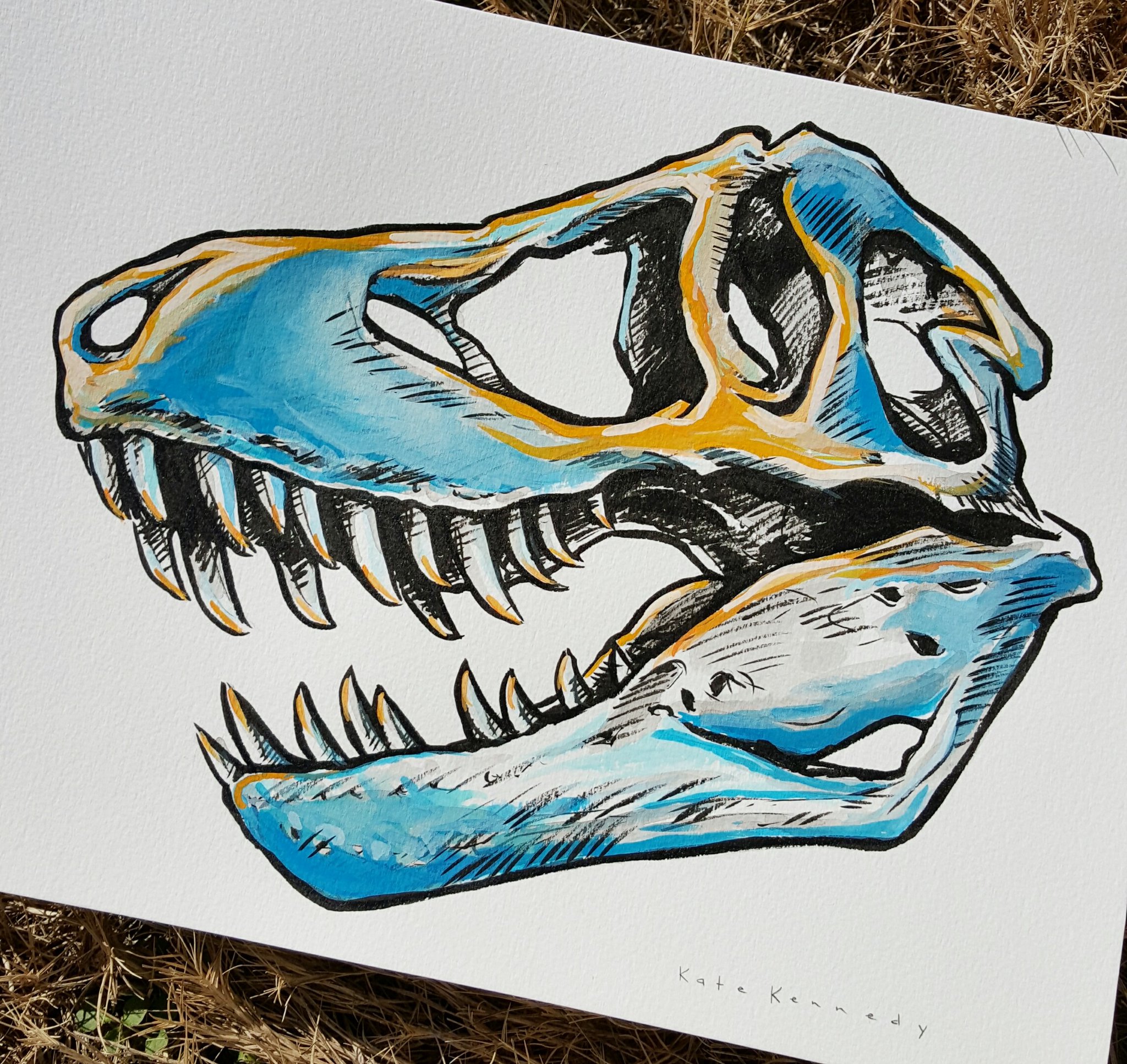 T Rex Skeleton Drawing