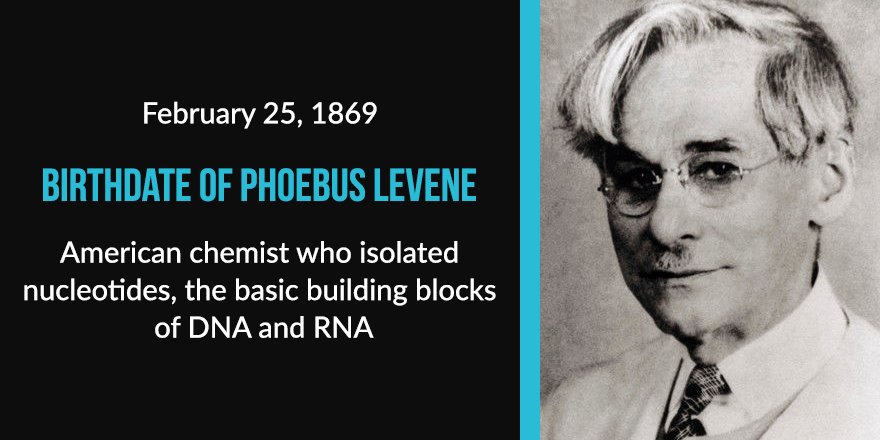 Phoebus Levene