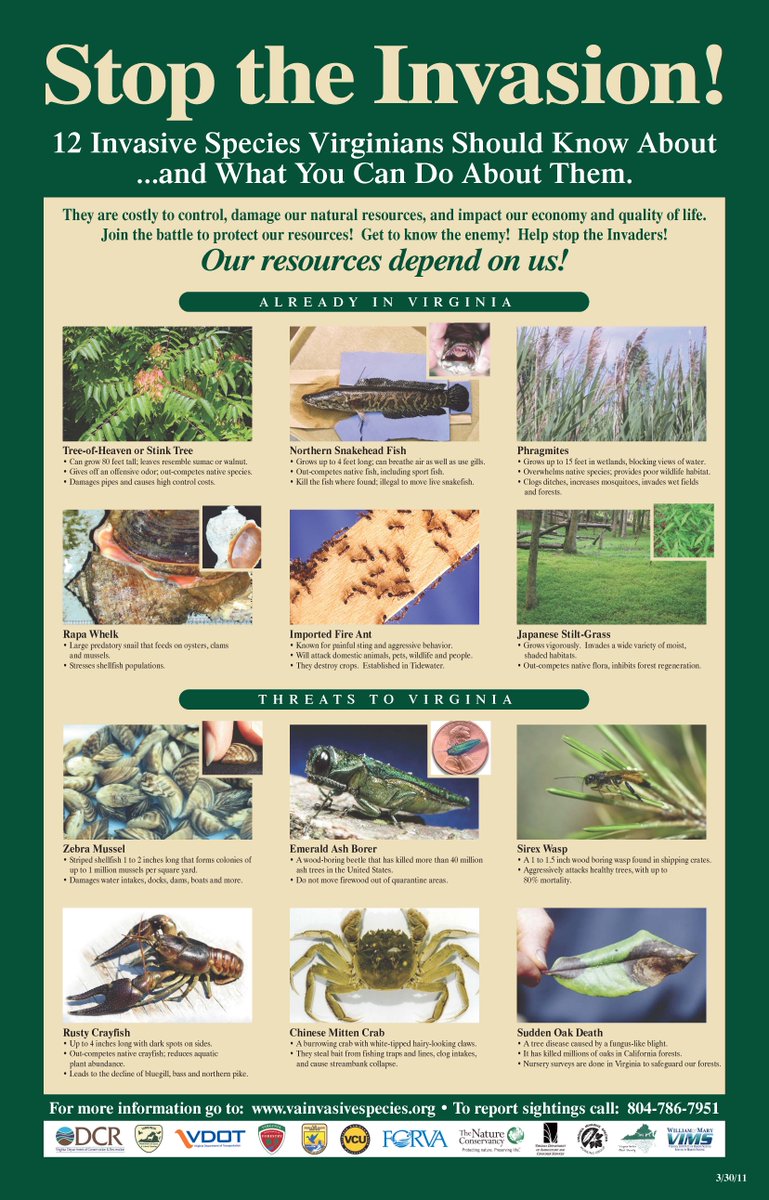 Invasive Species Animals List