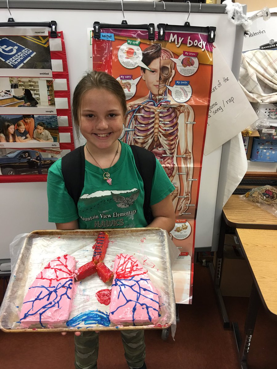 Human Body Project Grade 5