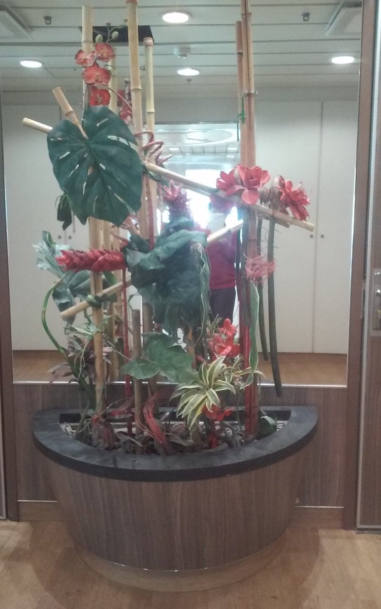 Sara Achour (@achour_fr) | Twitter