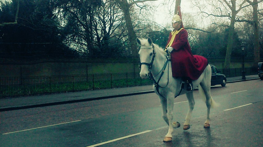 Sara Achour (@achour_fr) | Twitter