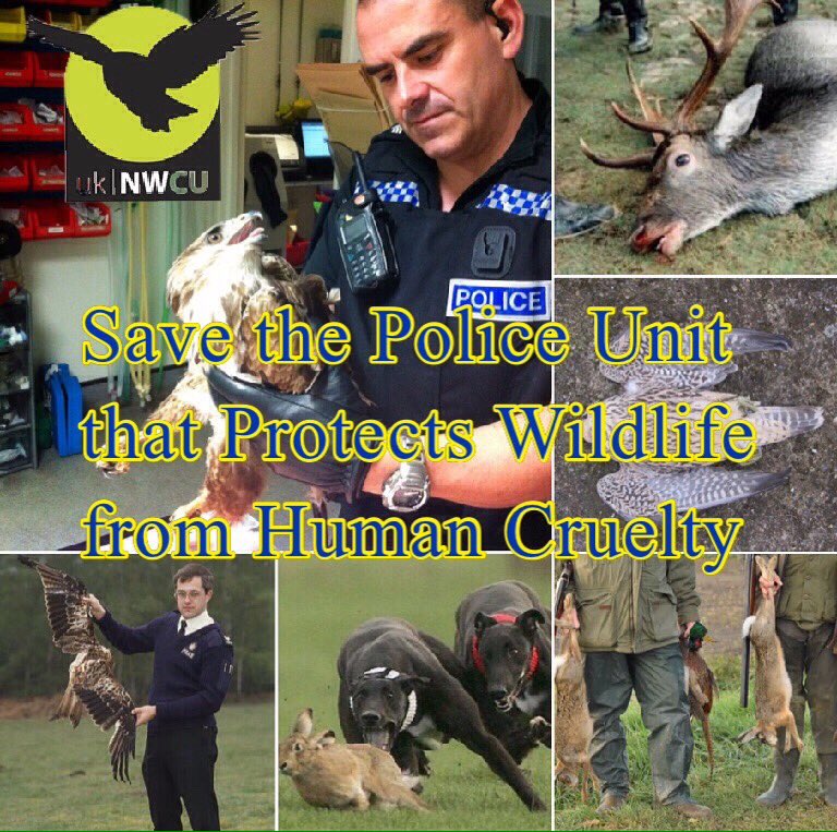 Save the Police Unit that Protects Wildlife from Human Cruelty