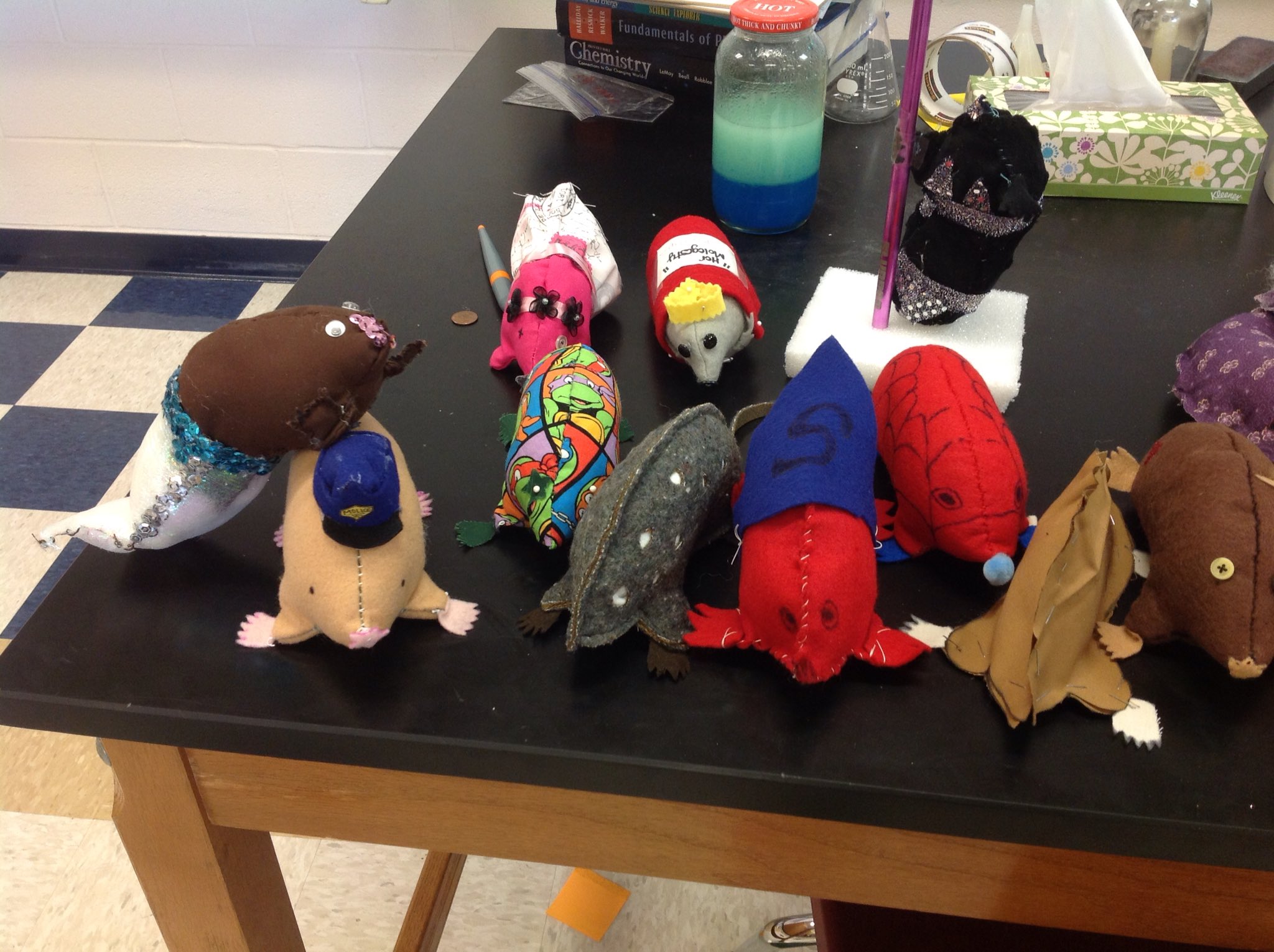 Stuffed Mole Chemistry Project