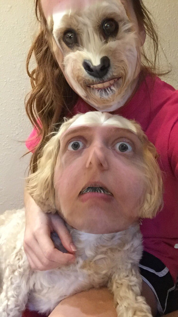 How Do You Face Swap With A Dog On Snapchat