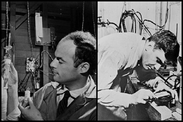 Sam Ruben - Alchetron, The Free Social Encyclopedia