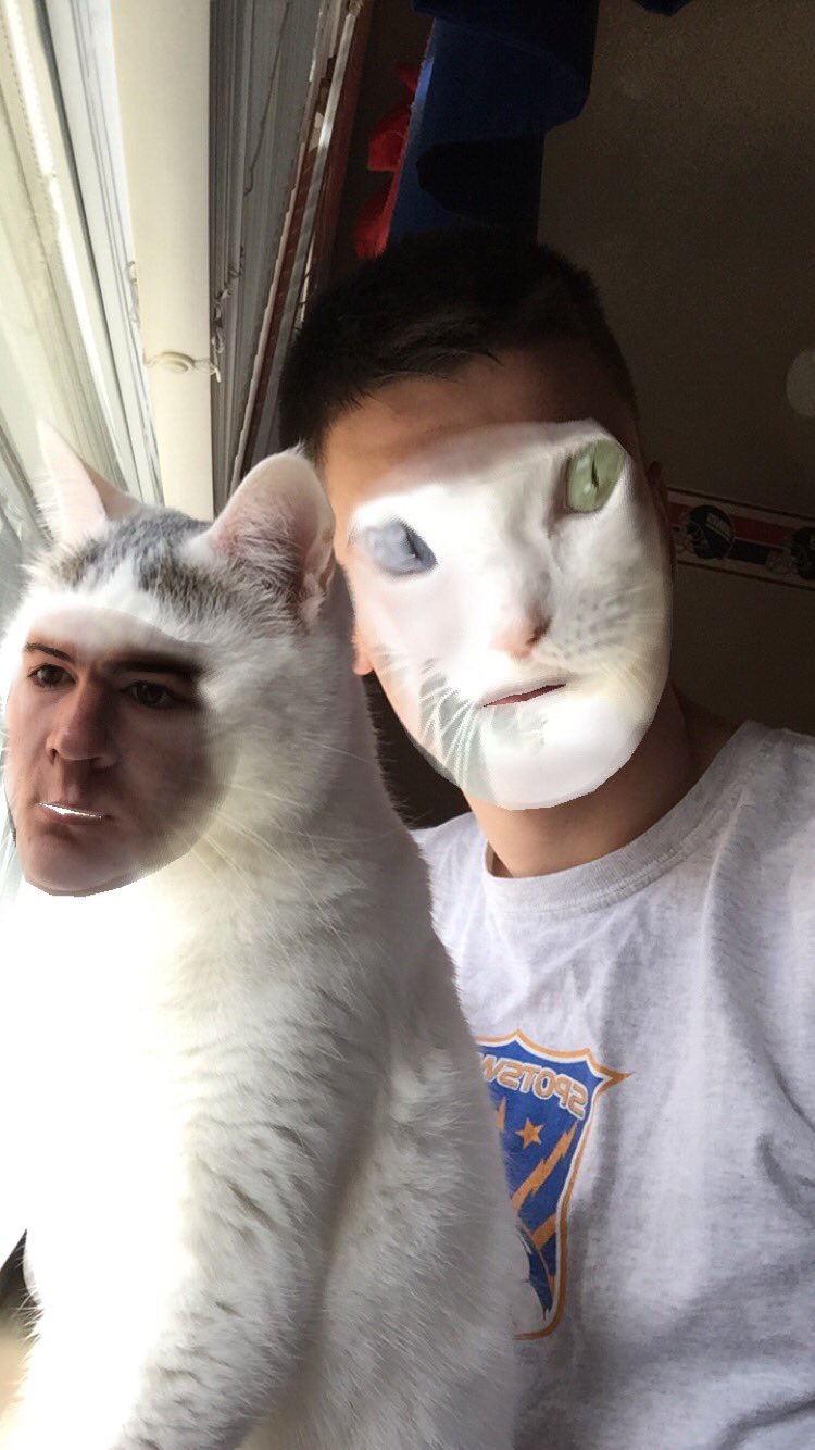 Funny Cat Human Face