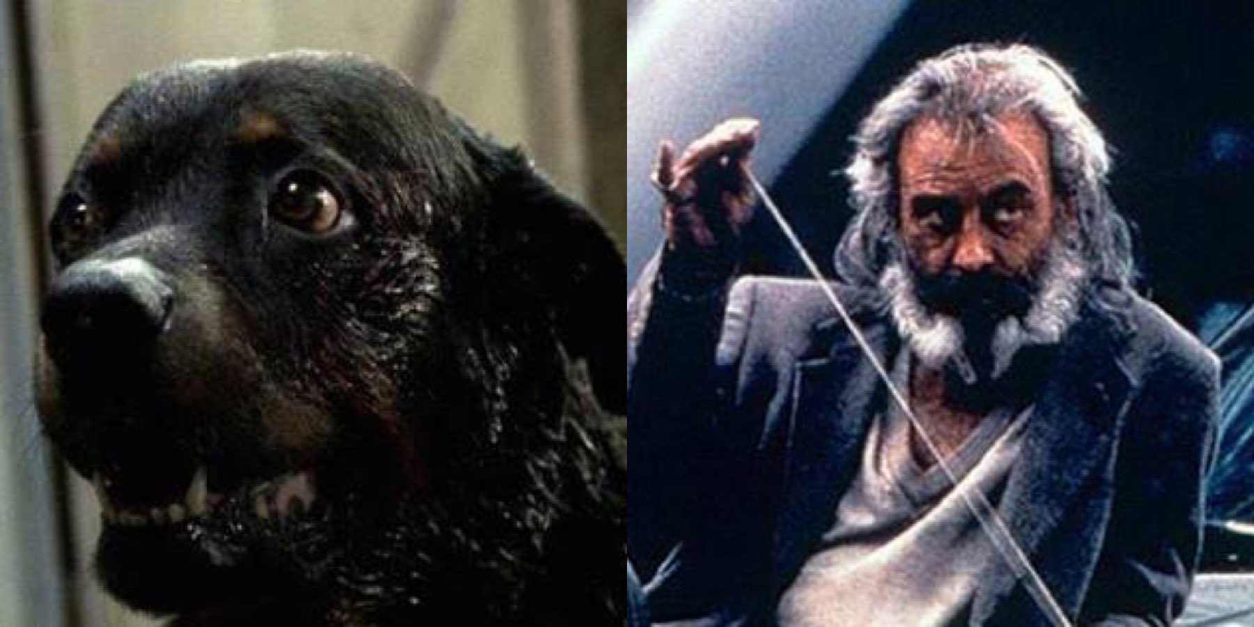 Amores Perros El Chivo