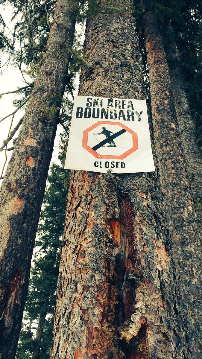 Josh Bugbee (@Josh_Bugbee) | Twitter