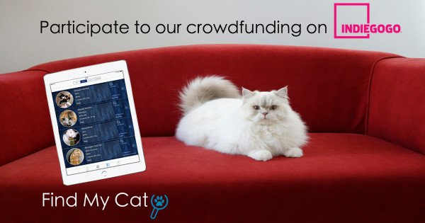 FindMyCat (@FindMyCat_app) | Twitter