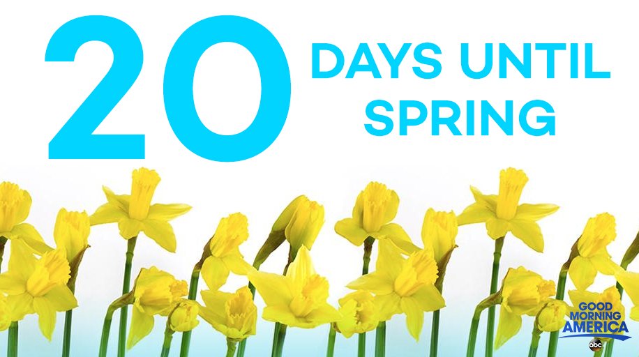 Only 20 days until spring! - scoopnest.com