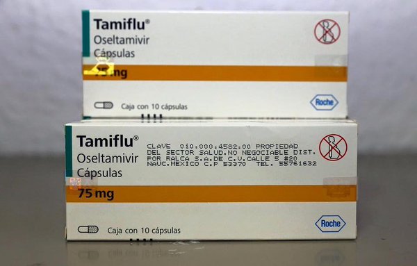 oseltamivir : Últimas noticias y actualidad en vivo | Scoopnest